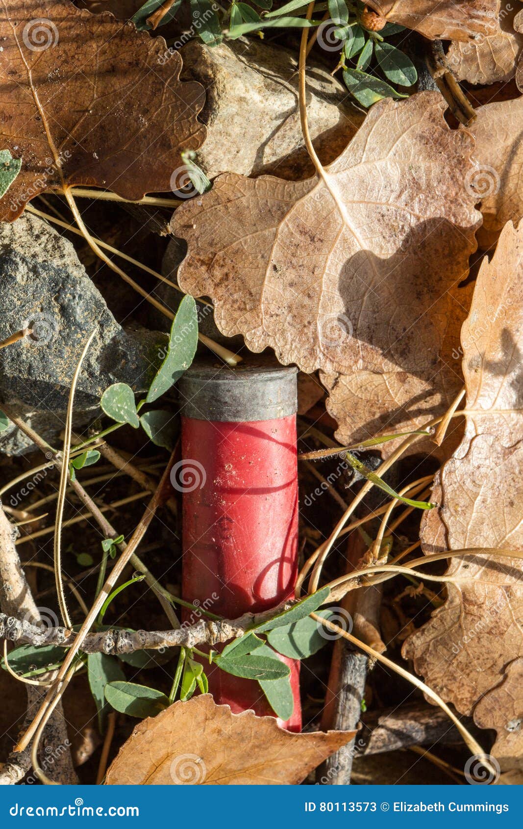Discarded Shotgun Shell in Nature Stock Image - Image of dying, trash ...