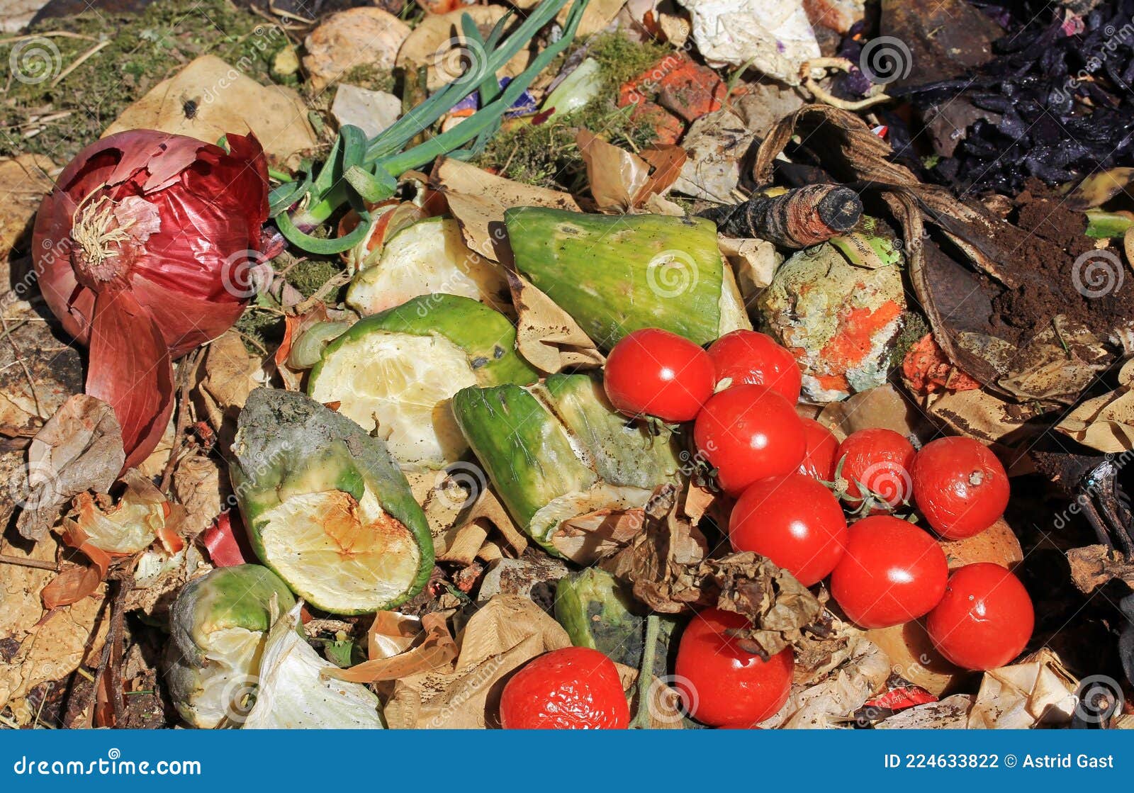 Discarded and Spoiled Food in a Trash Pile. Compostable Organic Waste ...