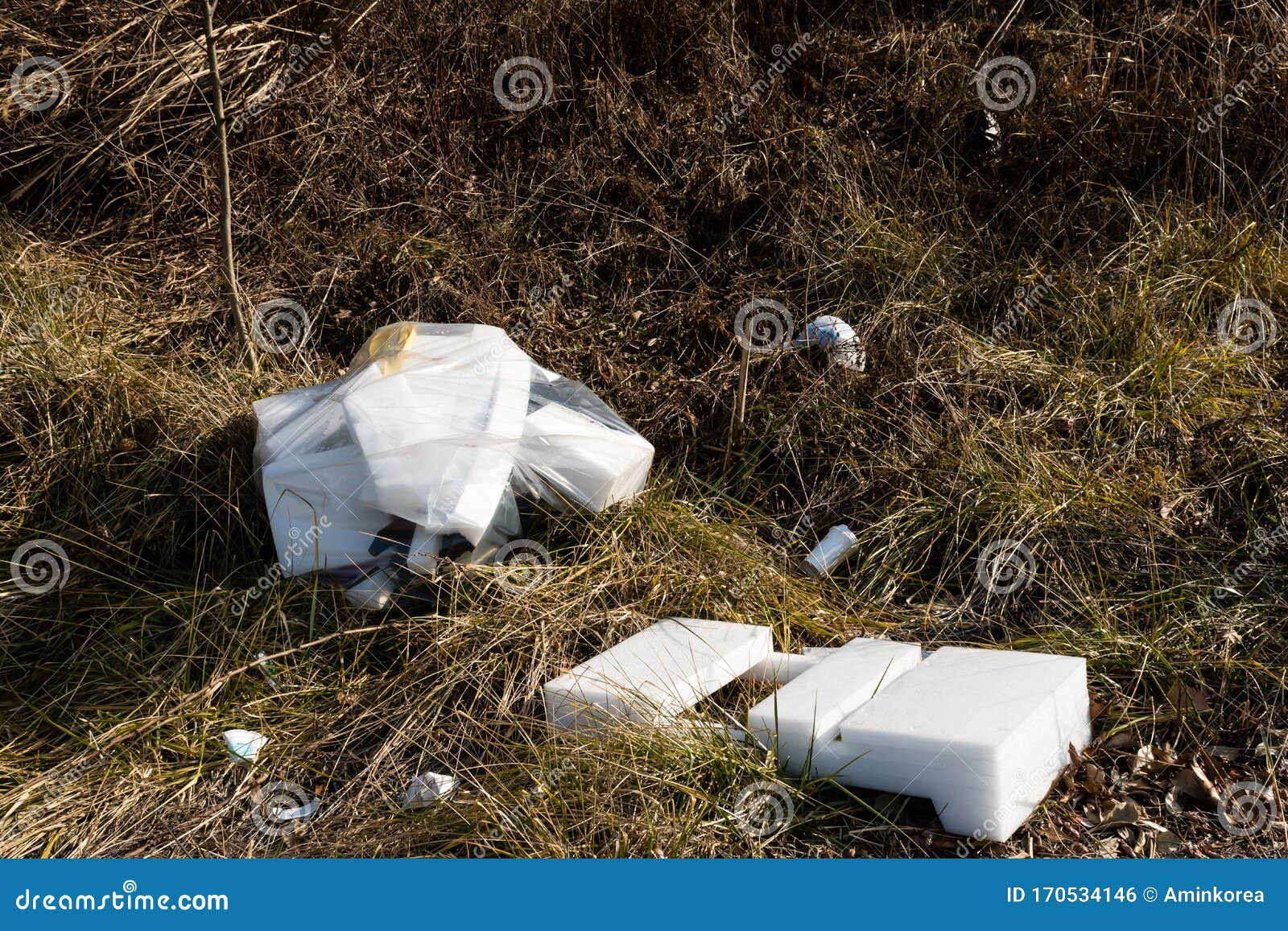 Discarded Styrofoam Trash, Liter Stock Photo - Image of asia ...