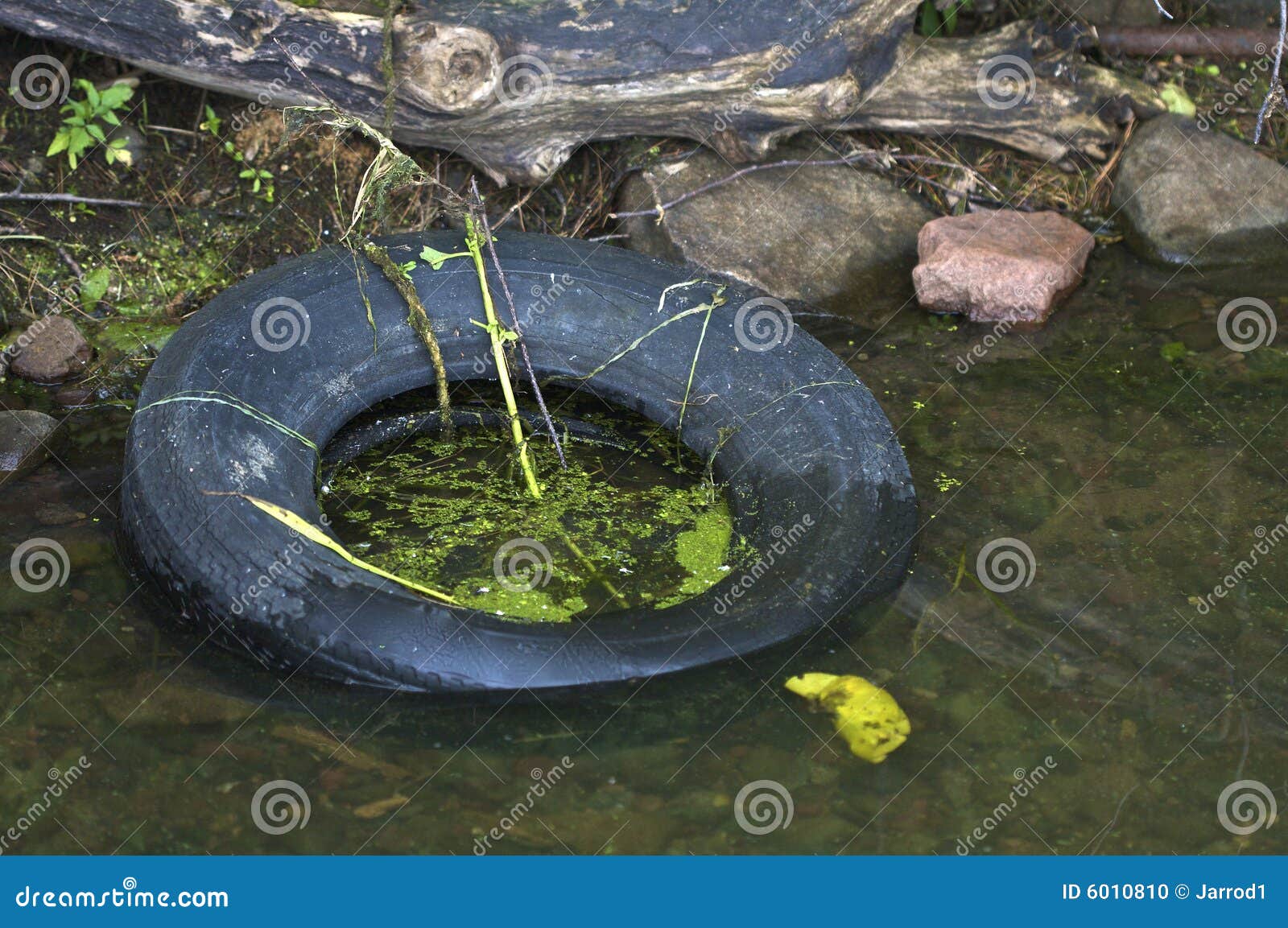 Discarded tire in water stock photo. Image of waste, discard - 6010810