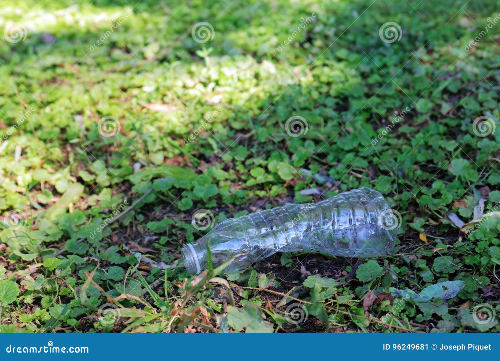 Discarded Water Bottle stock image. Image of social, empty - 96249681