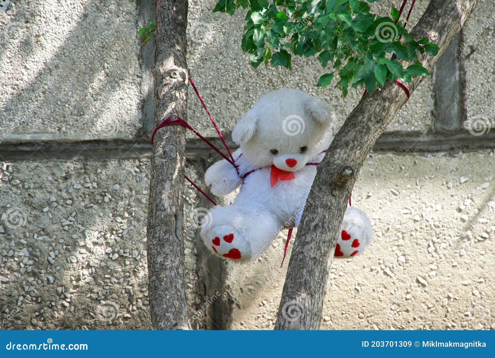 A Discarded White Teddy Bear Toy Hangs between the Trees Next To the ...