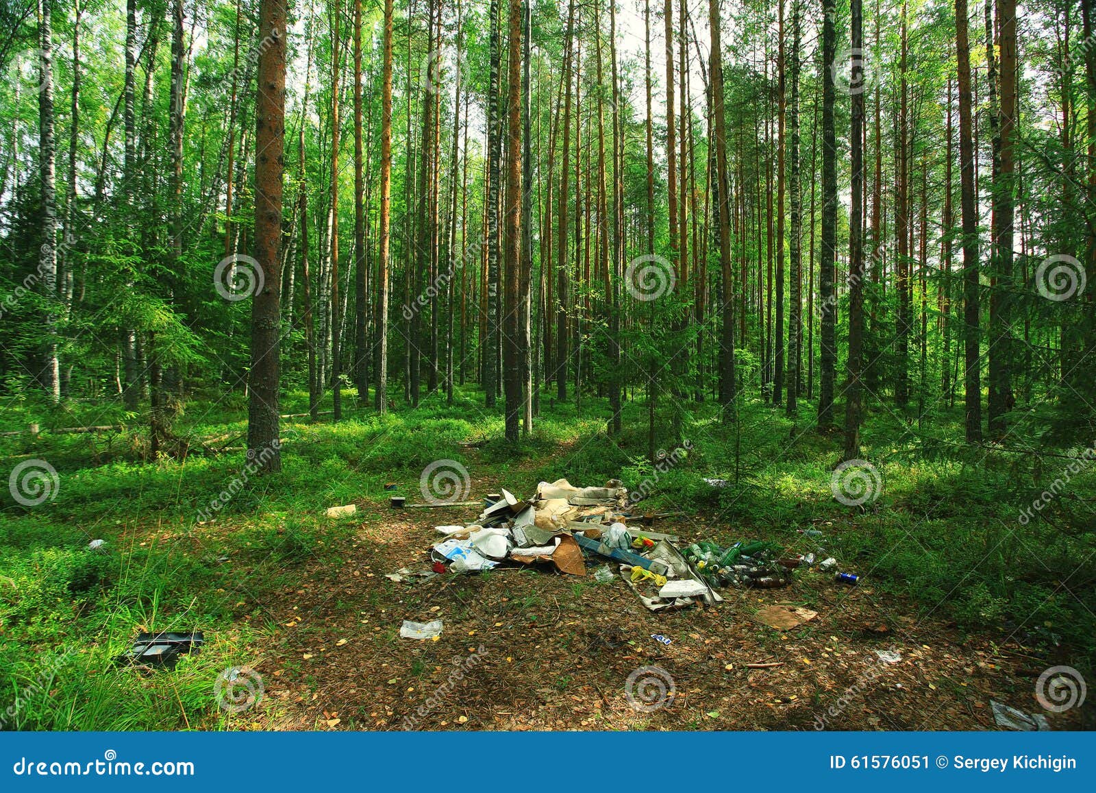 Discarica in legno immagine stock. Immagine di immondizia - 61576051