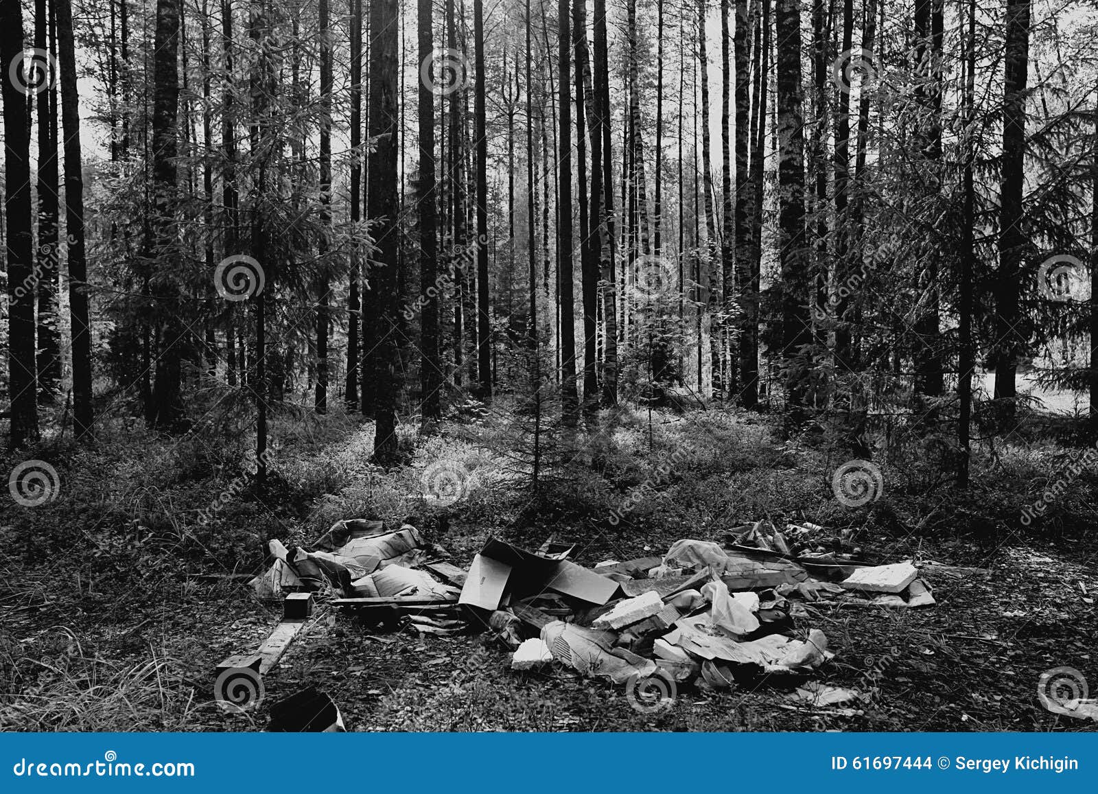 Discarica in legno fotografia stock. Immagine di nave - 61697444