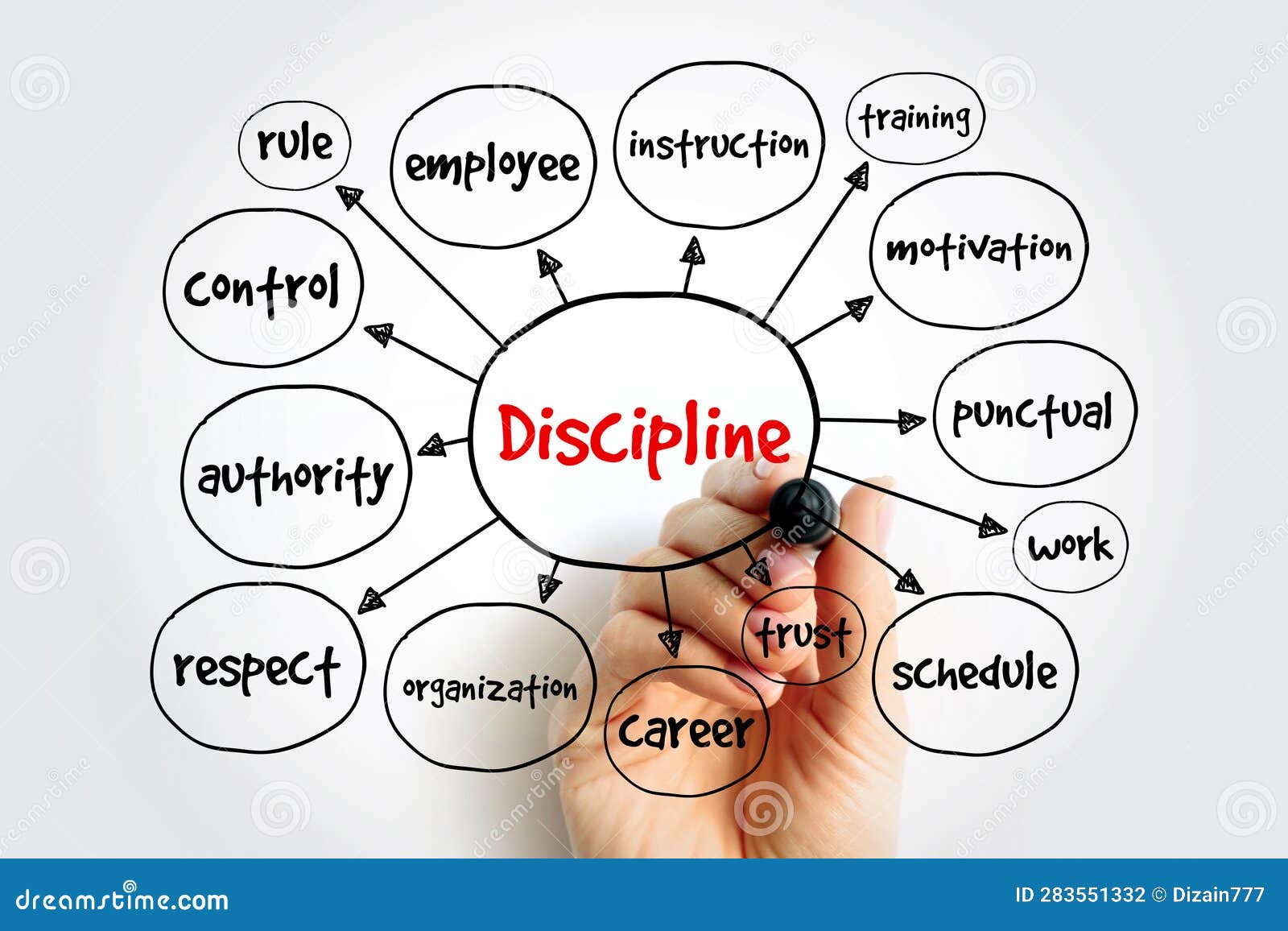 Discipline Mind Map, Business Concept for Presentations and Reports ...