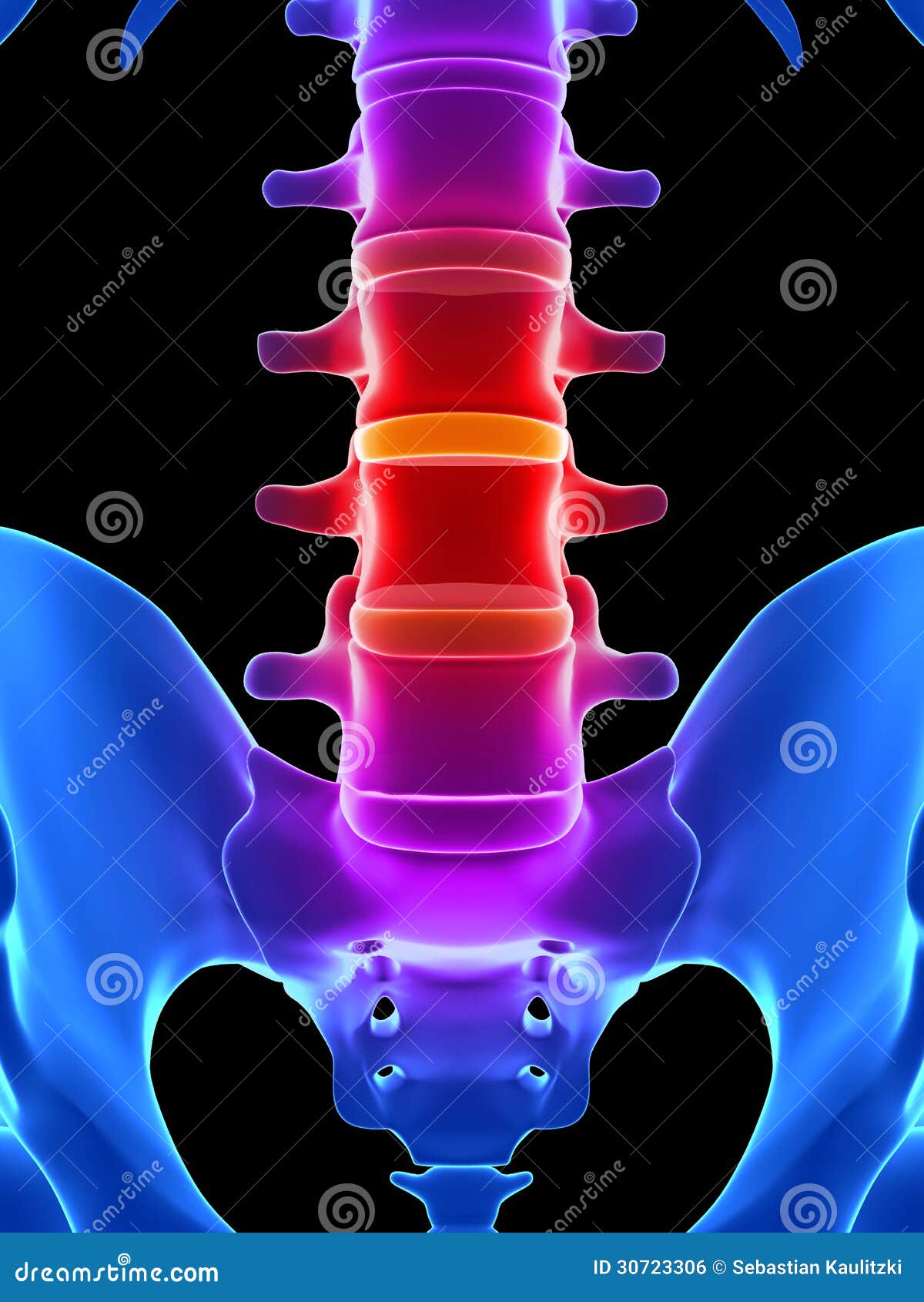 Discos intervertebrales stock de ilustración. Ilustración de ciencia ...