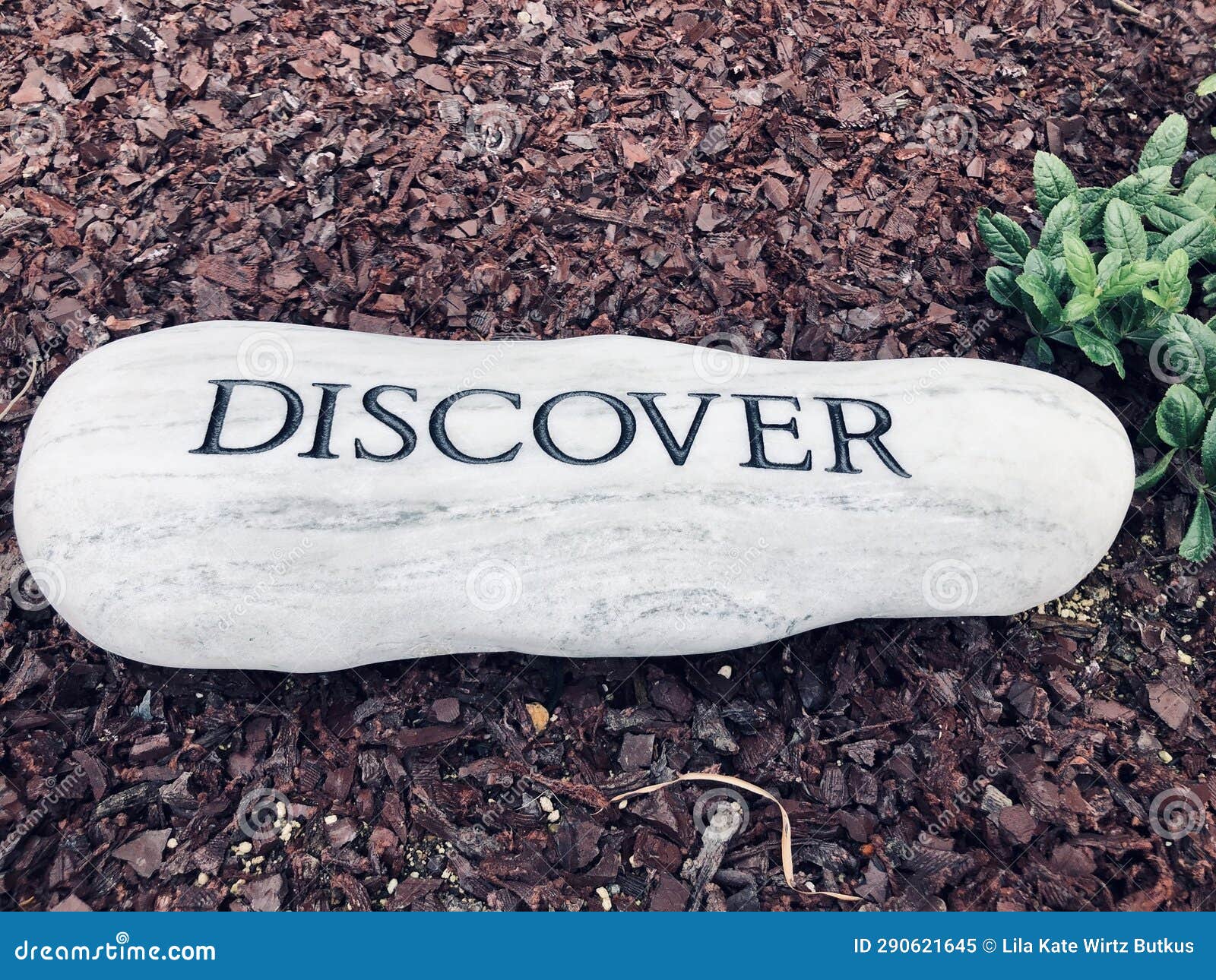 DISCOVER (adventure, Enjoy, Explore, Experience) Stock Image - Image of ...