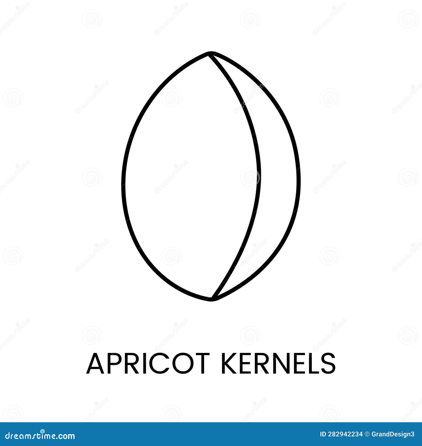 Discover the Delicate Flavor, Apricot Kernels. a Minimalistic Line ...