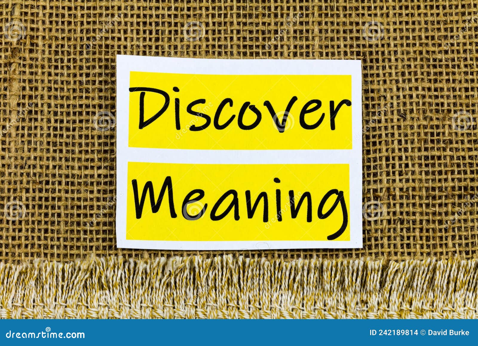 Discover Meaning Business Idea Philosophy Potential Purpose Life Stock ... Discover Meaning Business Idea Philosophy Potential Purpose Life Stock ...