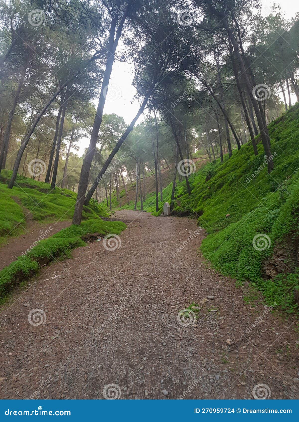Discover the Natural Mountain Footpath in the Middle of the Valley ...