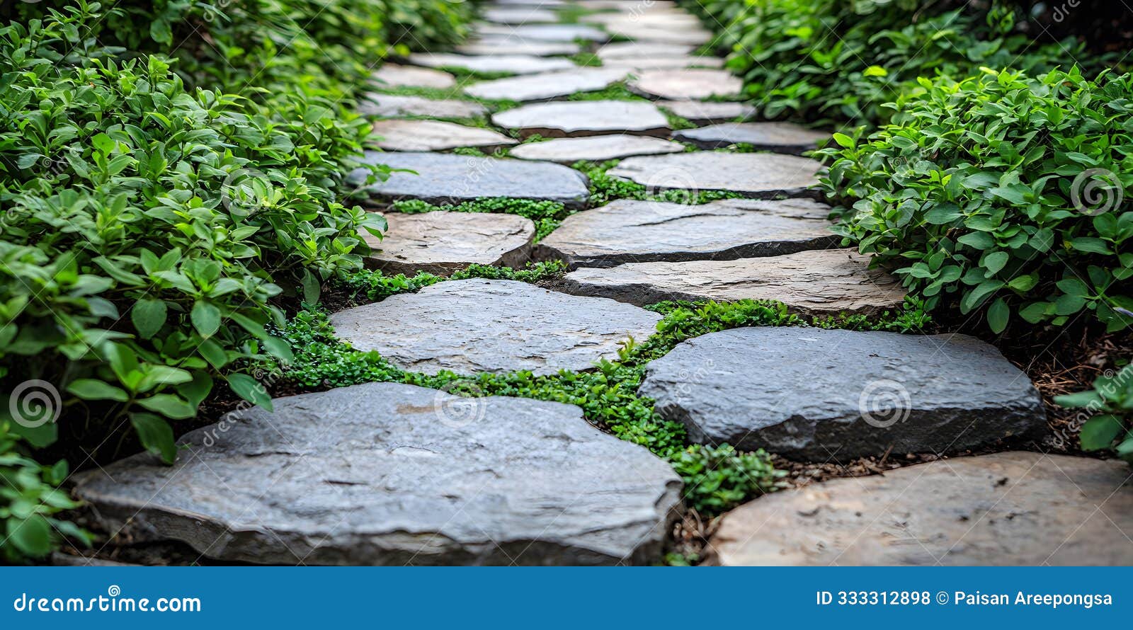 Discover the Serenity of a Garden Pathway Lined with Lush Greenery and ...