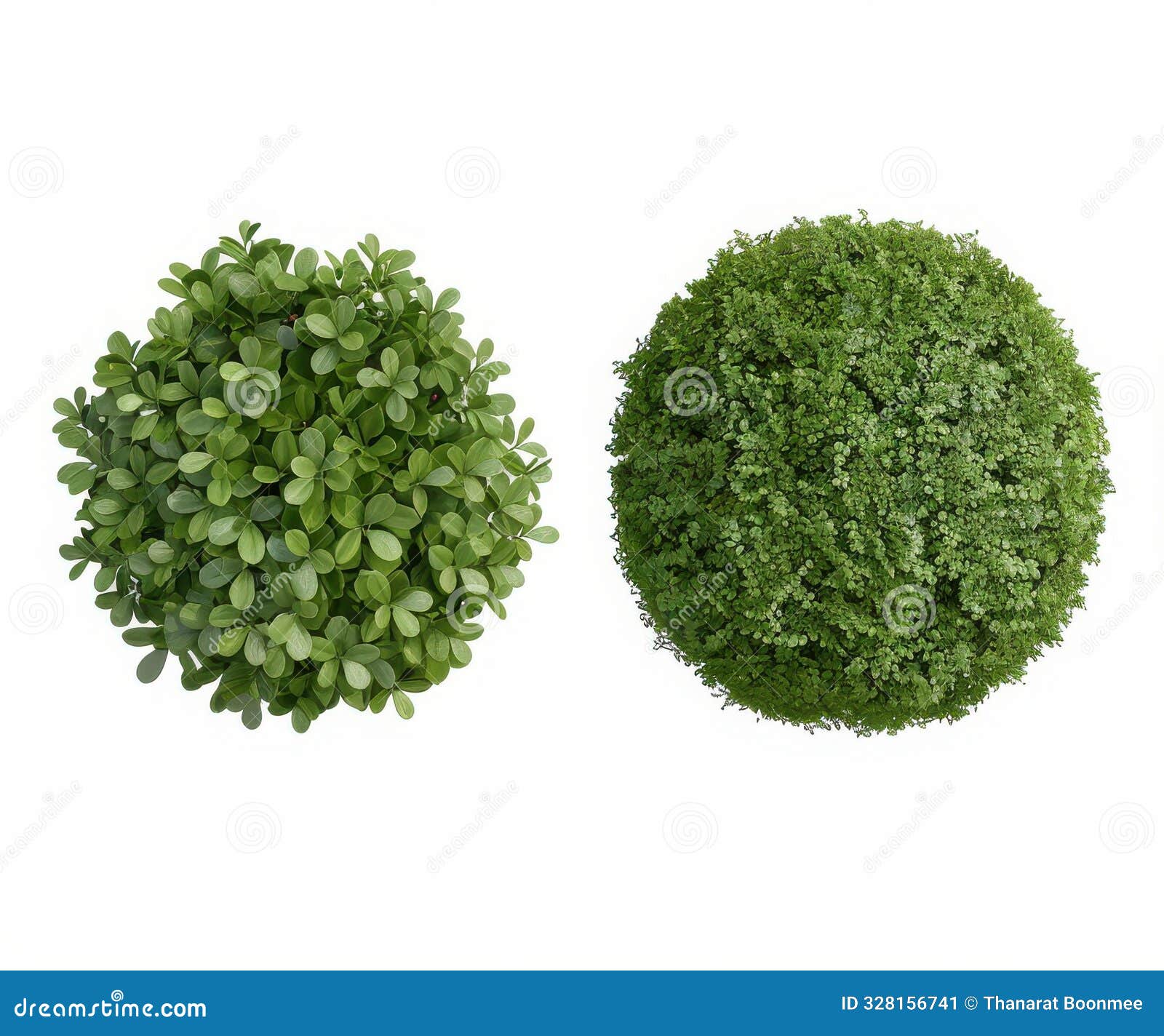 Discover A Stunning Collection Of 3D Tree Top Views, Perfect For ...