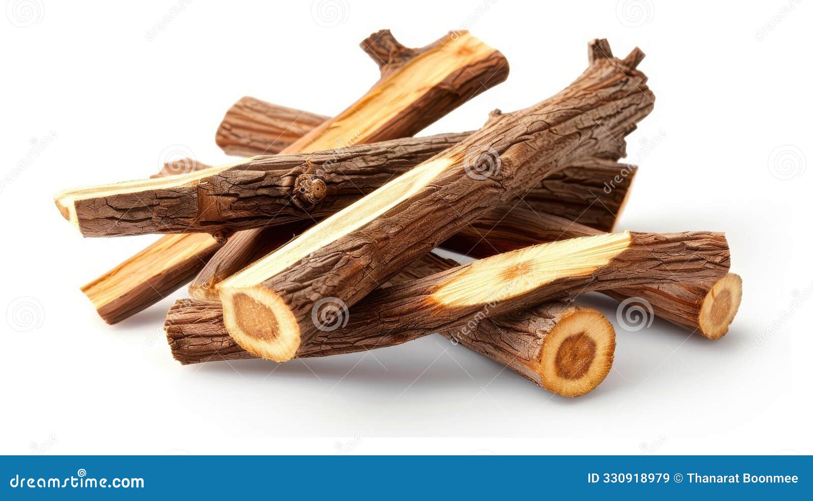 Licorice Root Bunch. Vector Drawing. Botanical Illustration ...