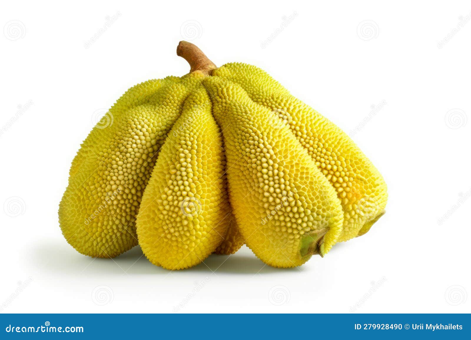 Jackfruit Texture And Seamless Stone Pattern Cartoon Vector ...