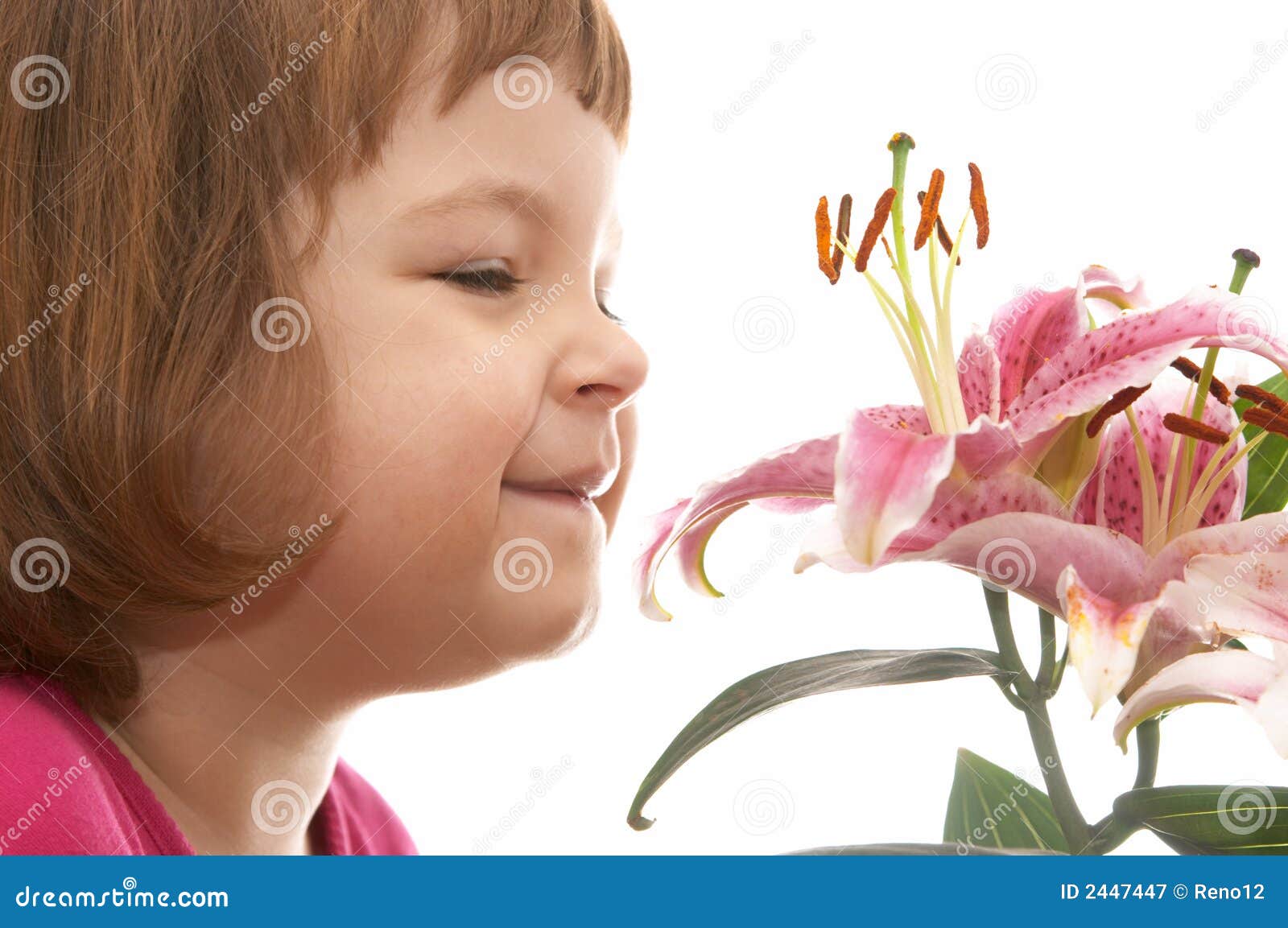 Discovering the nature stock image. Image of child, scent - 2447447 Discovering the nature stock image. Image of child, scent - 2447447