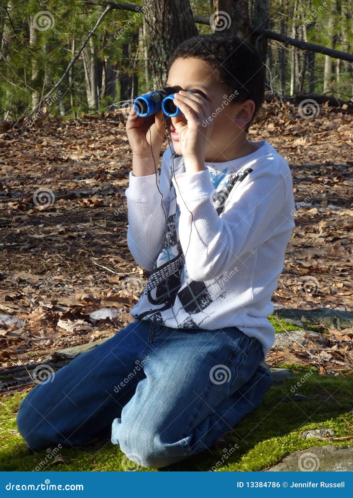 Discovery stock photo. Image of learning, environment - 13384786