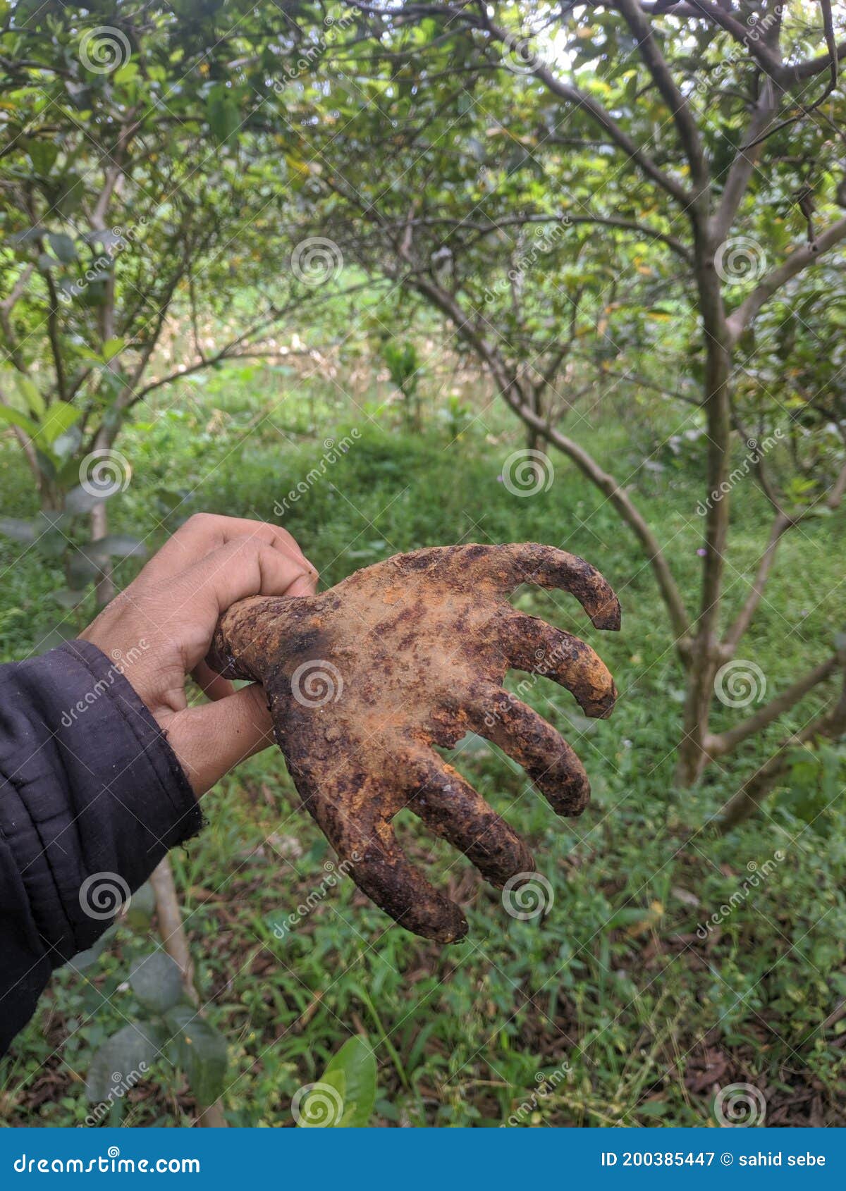 Cakar stock image. Image of discovery, cakar, plantations - 200385447