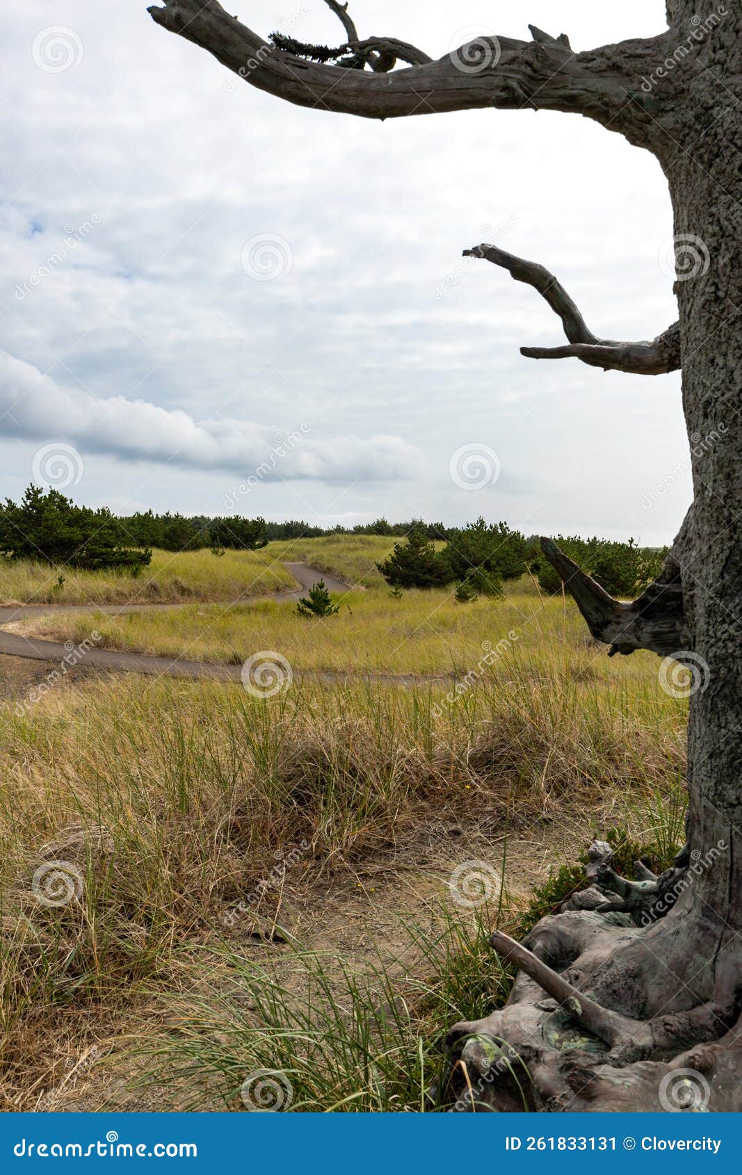 Discovery Rail Trail on a Late Fall Day Stock Image - Image of ...
