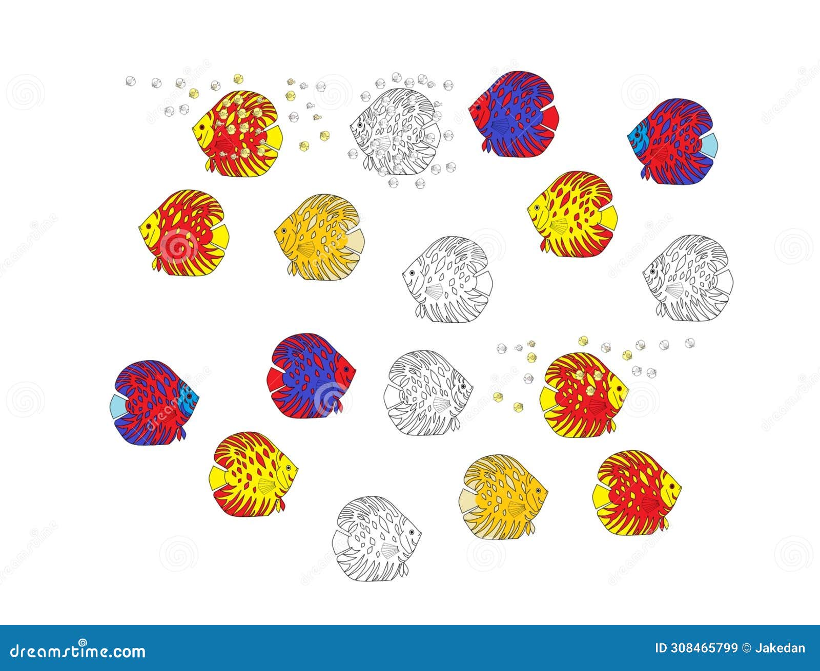 Discus Fish, Colouring Book Page Uncolored and Colored Stock Image ...