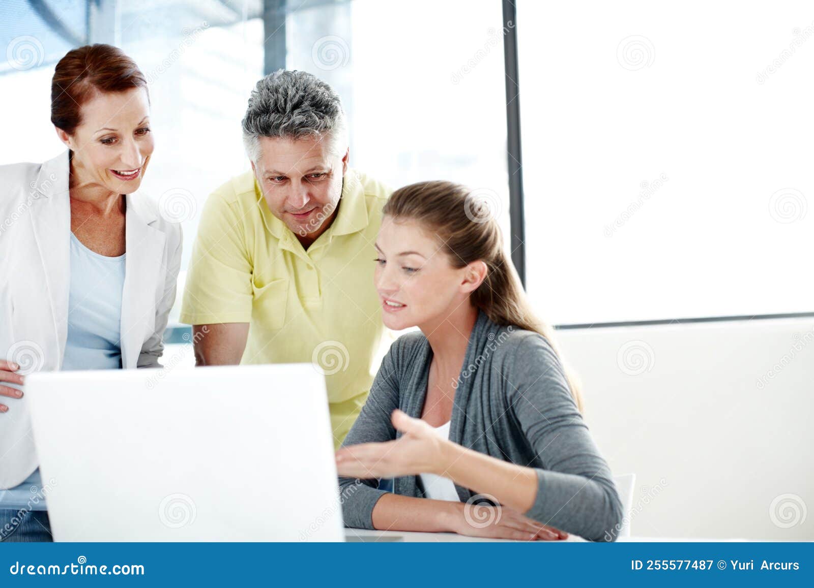 Discussing Her Ideas. a Group of Professionals Working Together As a ...