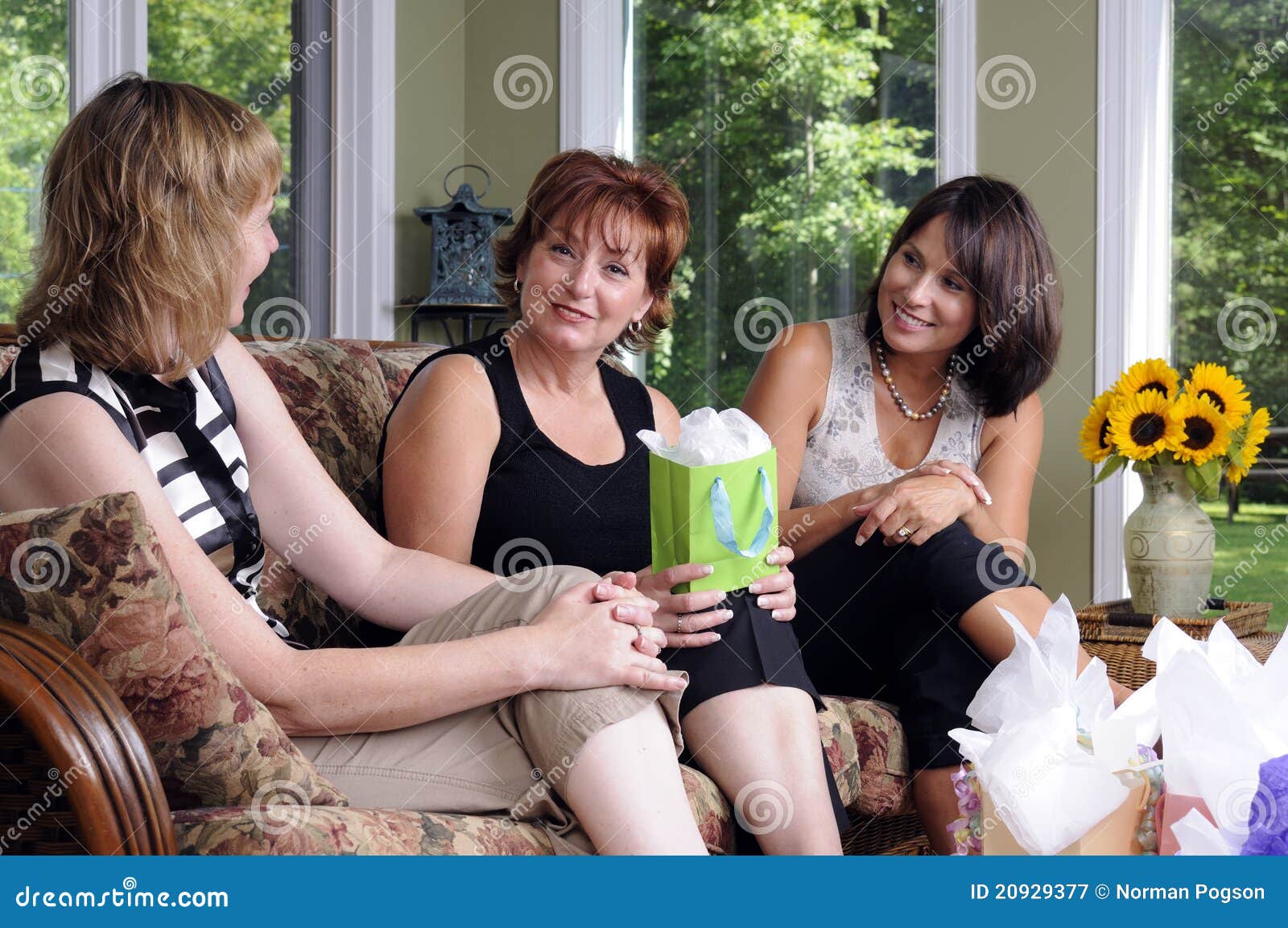 Discussion stock image. Image of birthday, home, discussion - 20929377