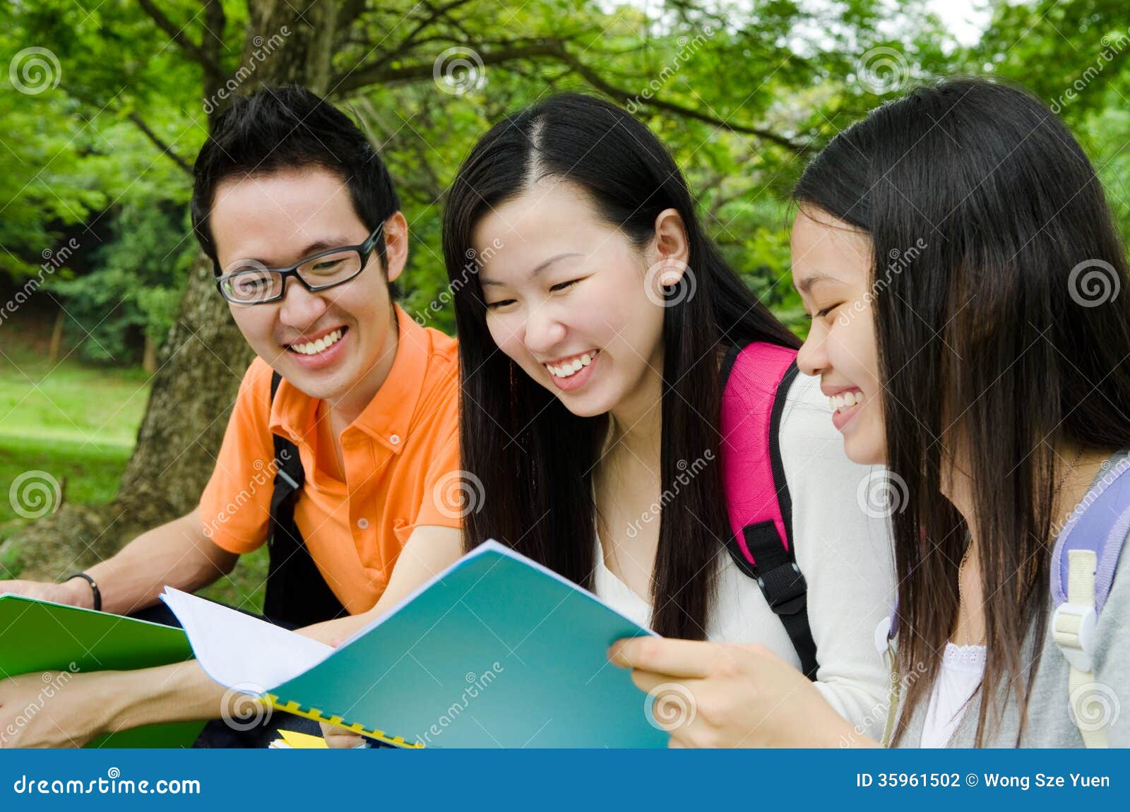 Discussion stock photo. Image of girl, campus, nature - 35961502