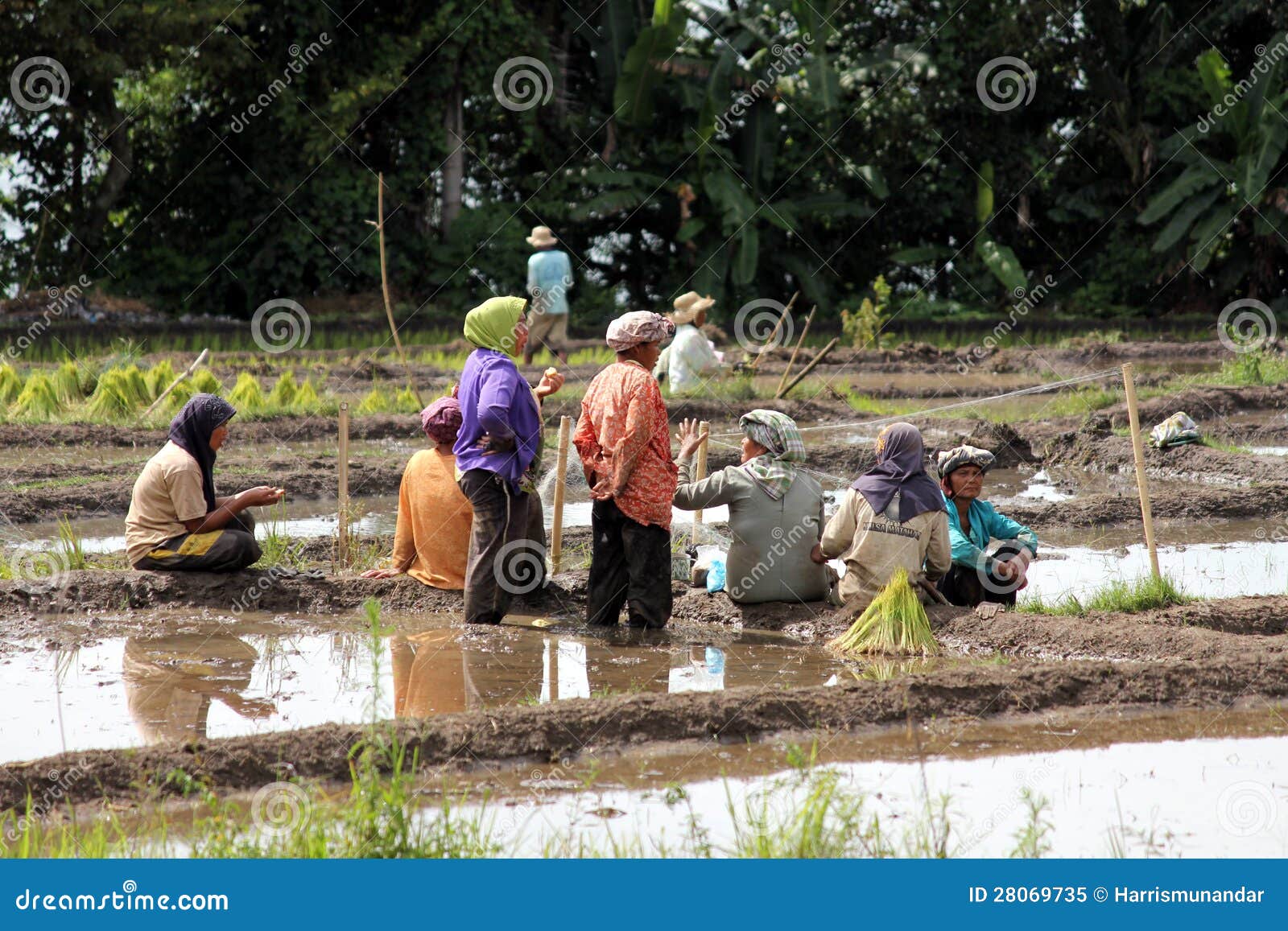 Discussion after Working in the Fields Editorial Image - Image of ...