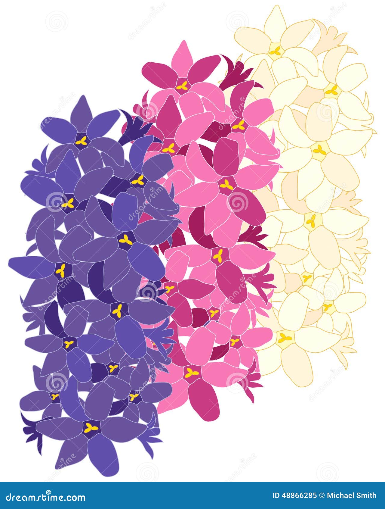 Diseño del jacinto ilustración del vector. Ilustración de cubo - 48866285