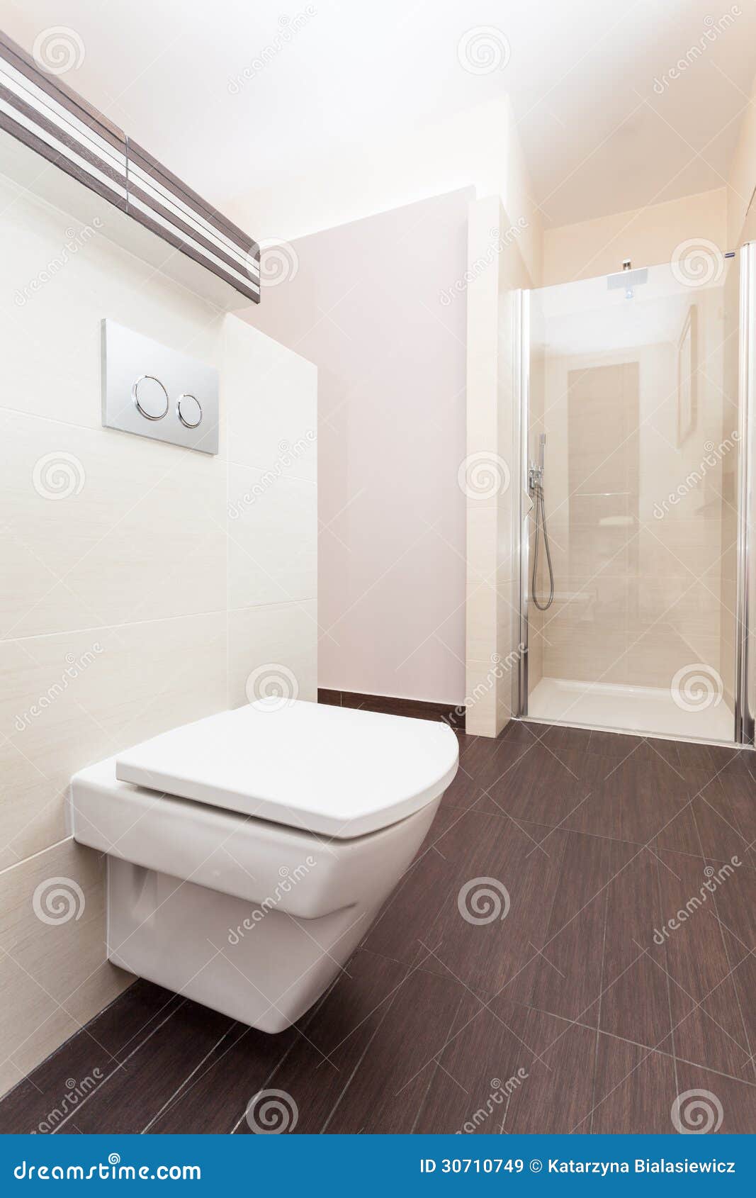 Diseño Magnífico - Retrete Moderno Imagen de archivo - Imagen de ...