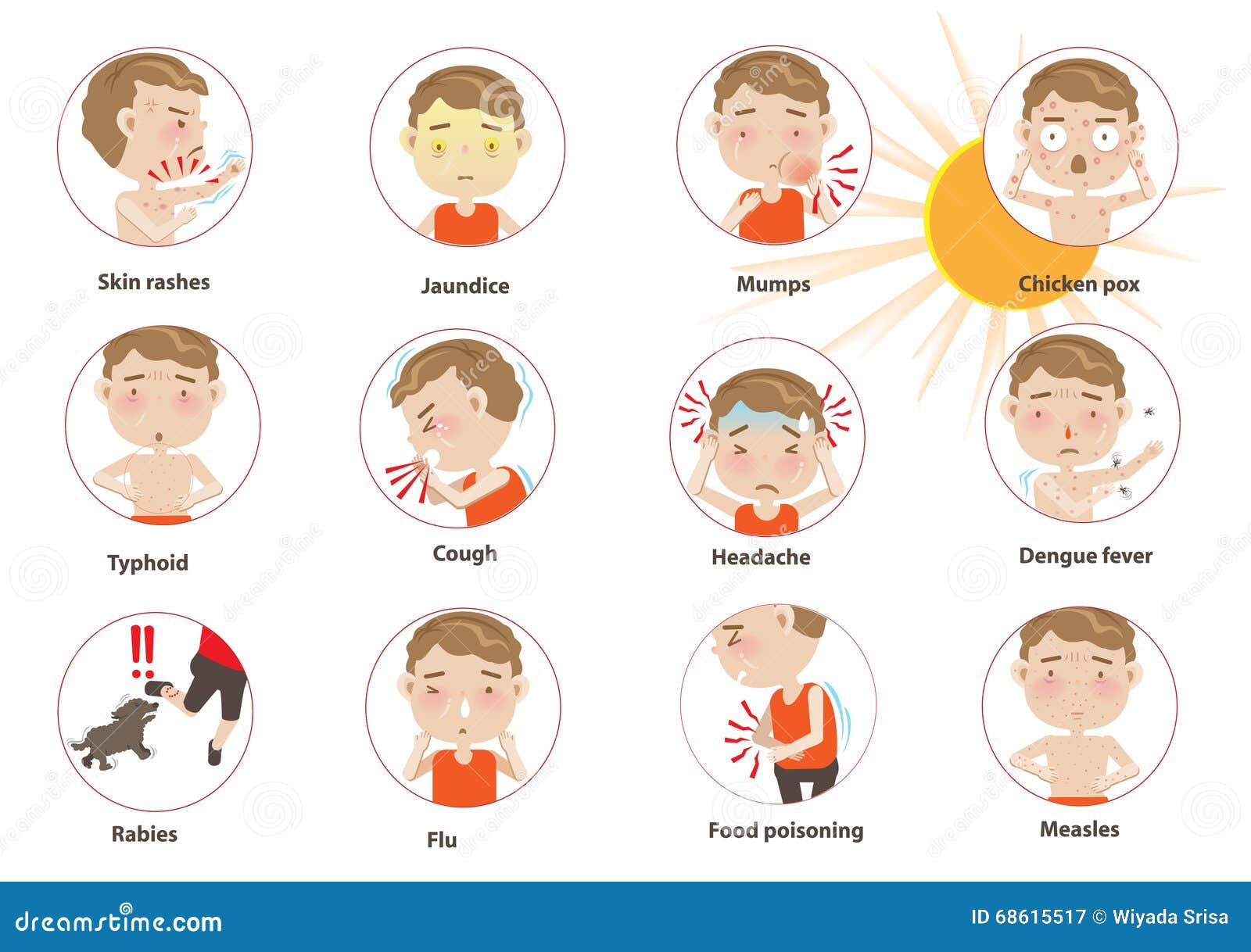 Typhus Clipart And Illustrations