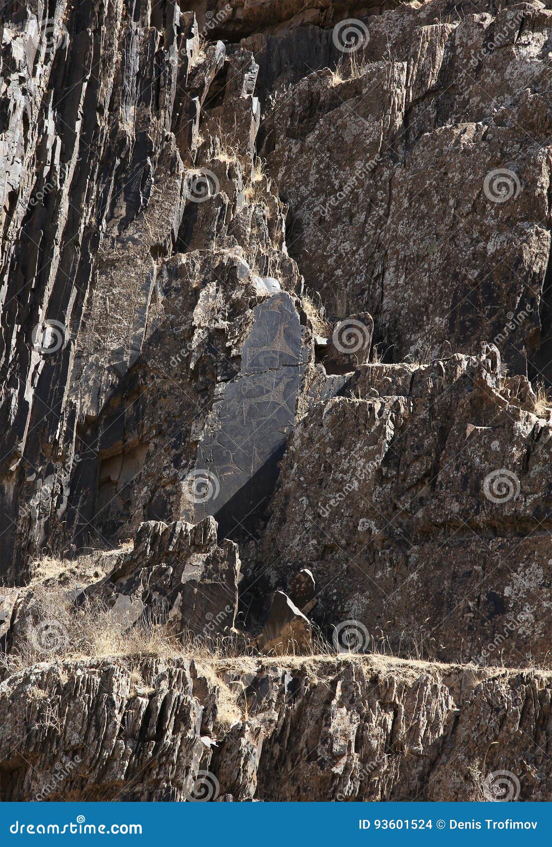 Disegni Antichi Della Roccia, Cervi, Bufali Fotografia Stock - Immagine ...