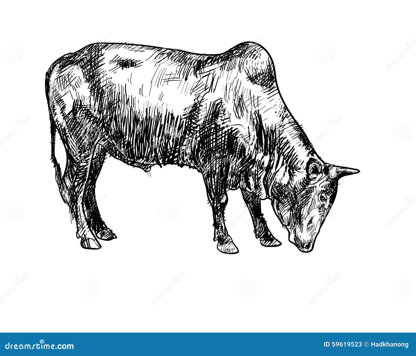 Disegno del bue illustrazione vettoriale. Illustrazione di asiatico ...