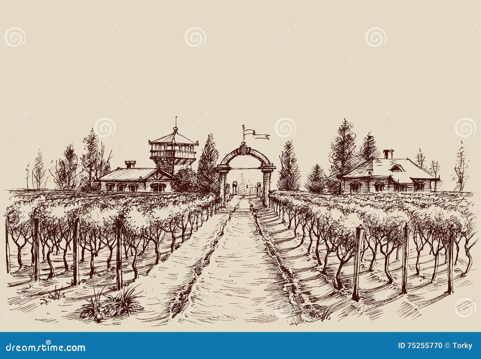 Disegno della vigna illustrazione vettoriale. Illustrazione di terra ...