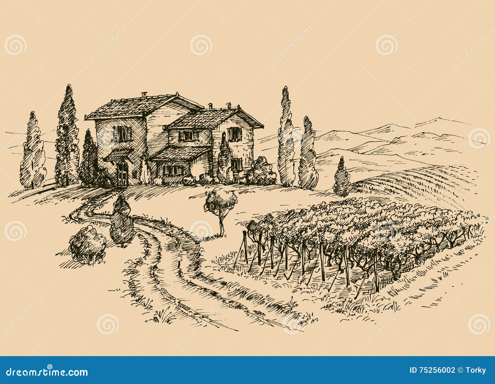 Disegno della vigna illustrazione vettoriale. Illustrazione di bevanda ...