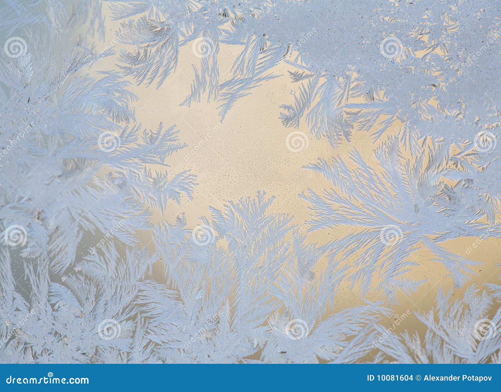 Disegno gelido blu-chiaro fotografia stock. Immagine di freddo - 10081604