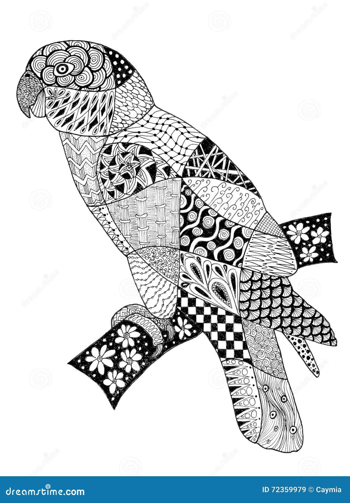 Disegno Originale Degli Zentangles Di Un Pappagallo Illustrazione di ...