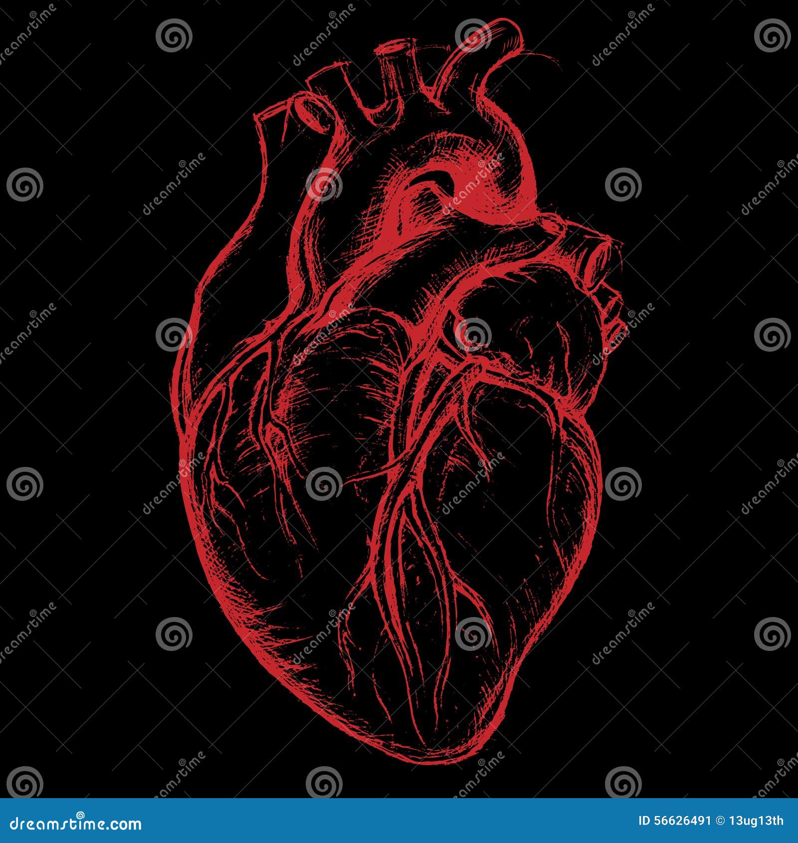 Disegno Di Cuore Umano - Disegni HD