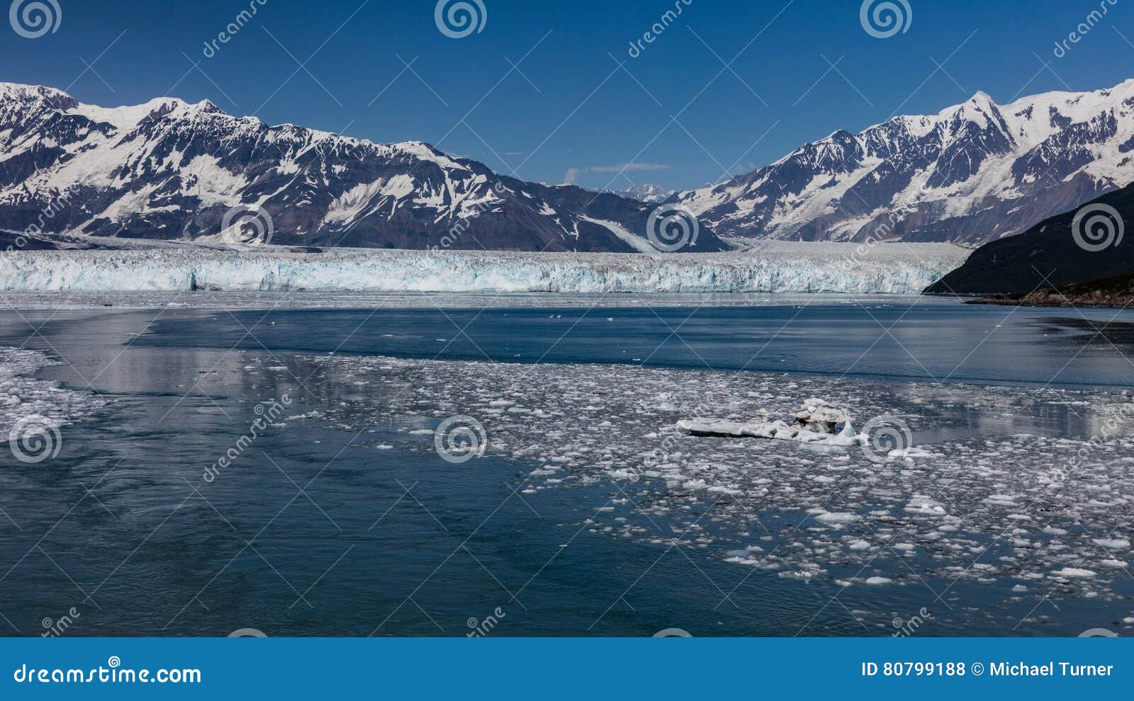 Disenchantment Bay stock photo. Image of pacific, disenchantment - 80799188