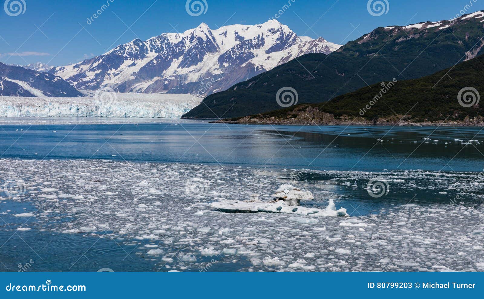 Disenchantment Bay stock image. Image of landscape, stephens - 80799203
