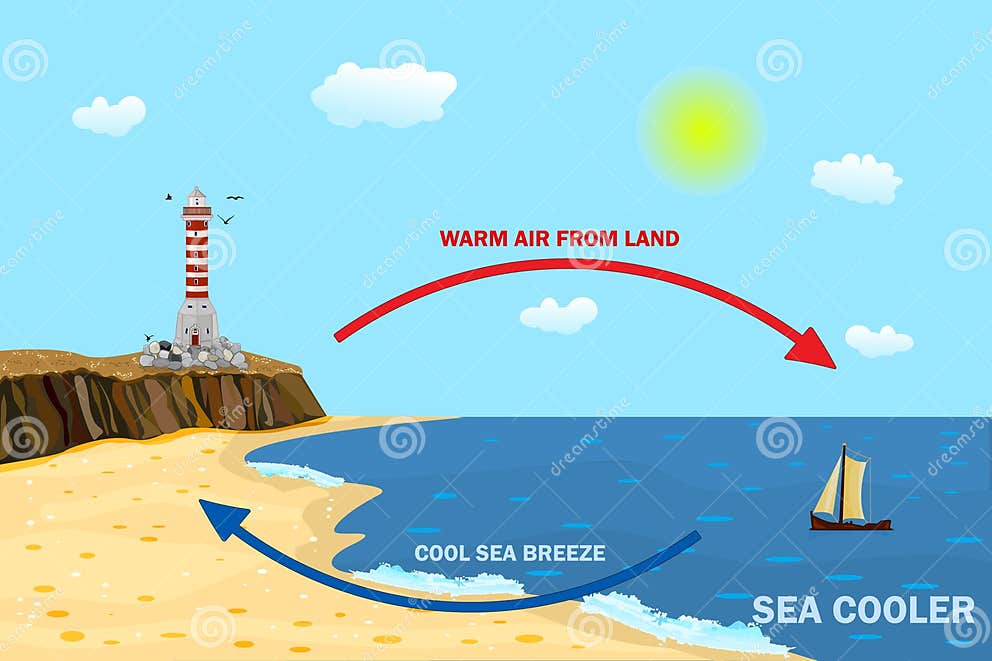 Diseño De Afiches Científicos Para La Brisa Marina Y Terrestre Sistema