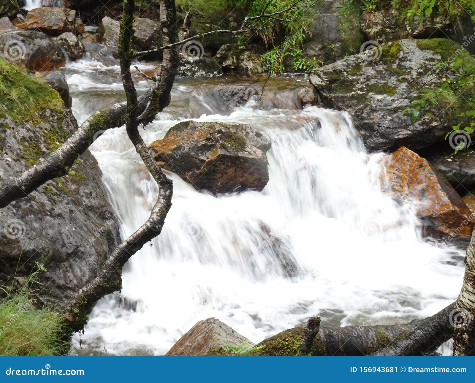 DiseÃ±o Del Logotipo De La Letra D Imagen de archivo - Imagen de agua, cascada: 156943681