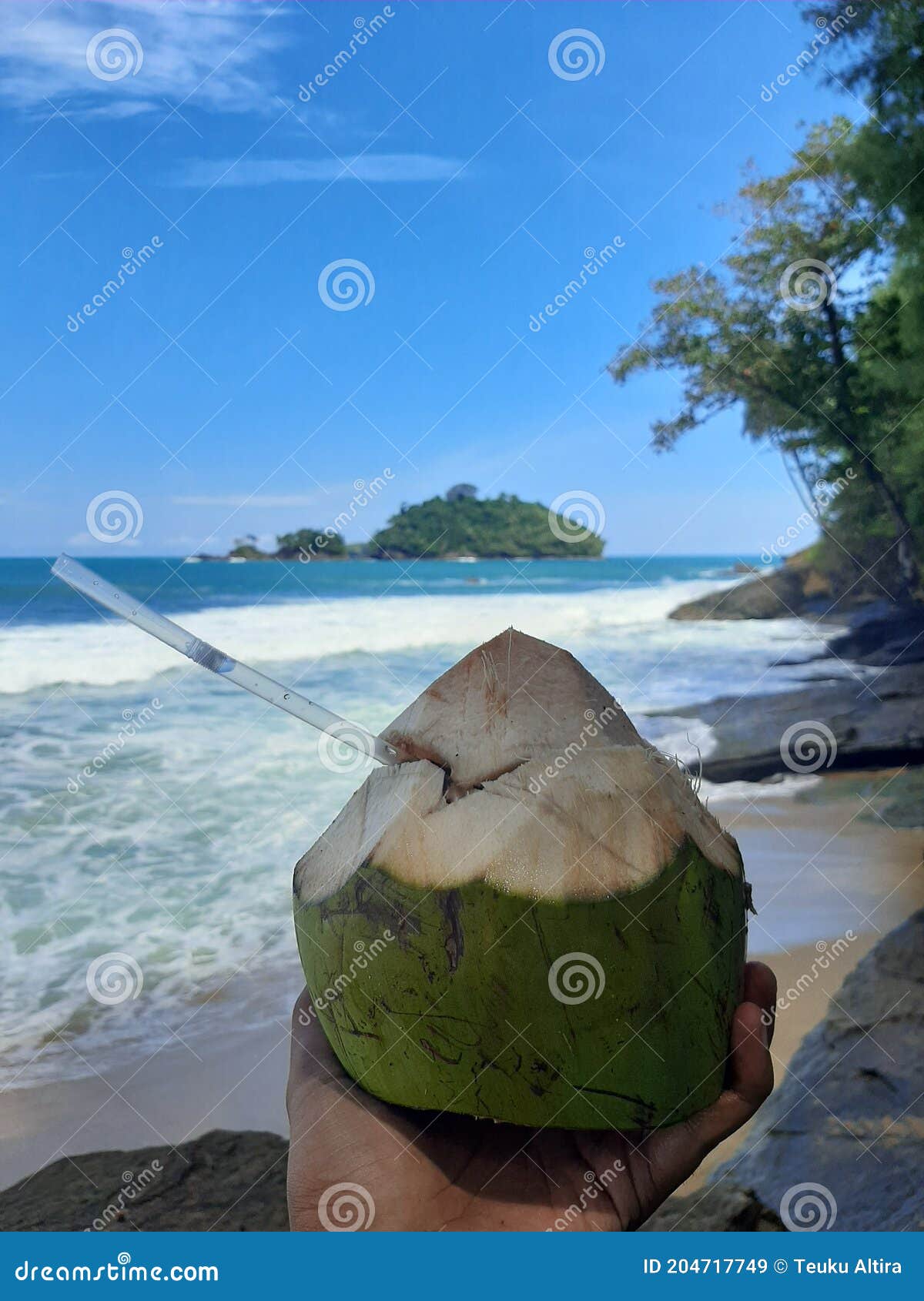 Disfrutar De Los Cocos En La Playa Imagen de archivo - Imagen de ...