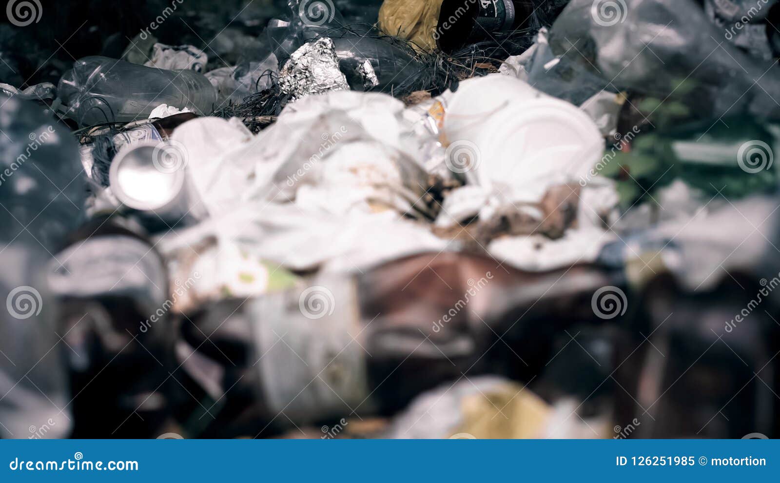 Disgusting Garbage Polluting Soil and Forests, Urgent Environmental ...