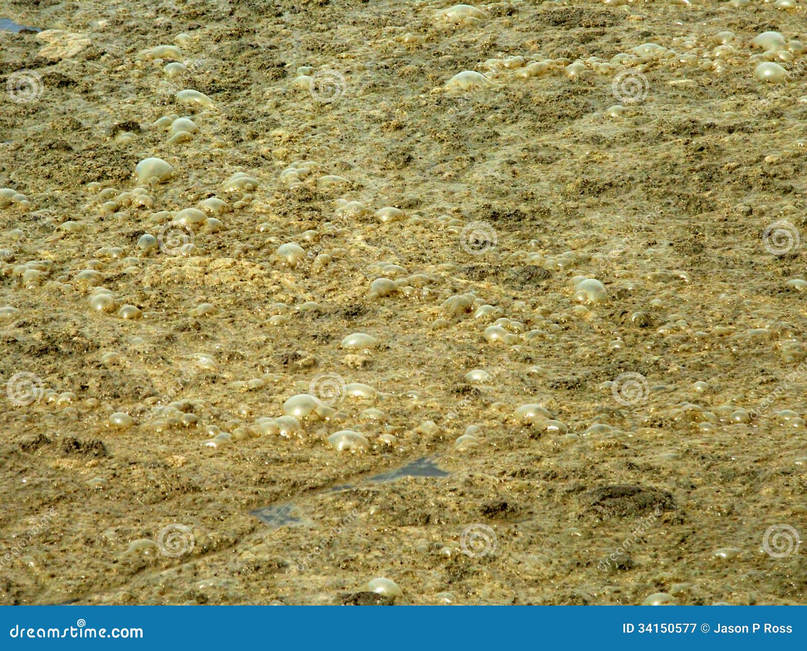 Disgusting Sewage Background Royalty-Free Stock Photography ...