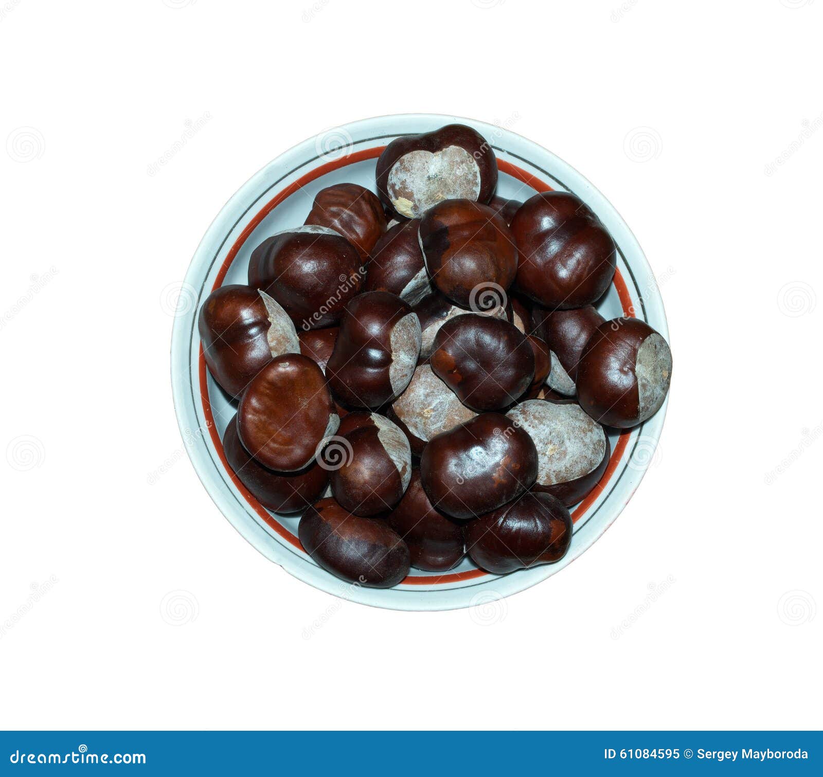 Dish with chestnuts stock image. Image of sweet, gourmet - 61084595