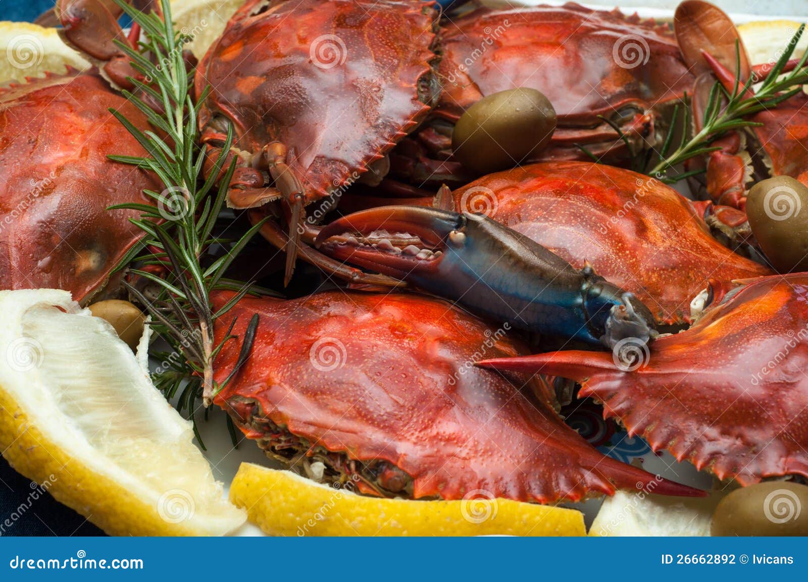 Dish with cooked crabs stock photo. Image of estate, food - 26662892