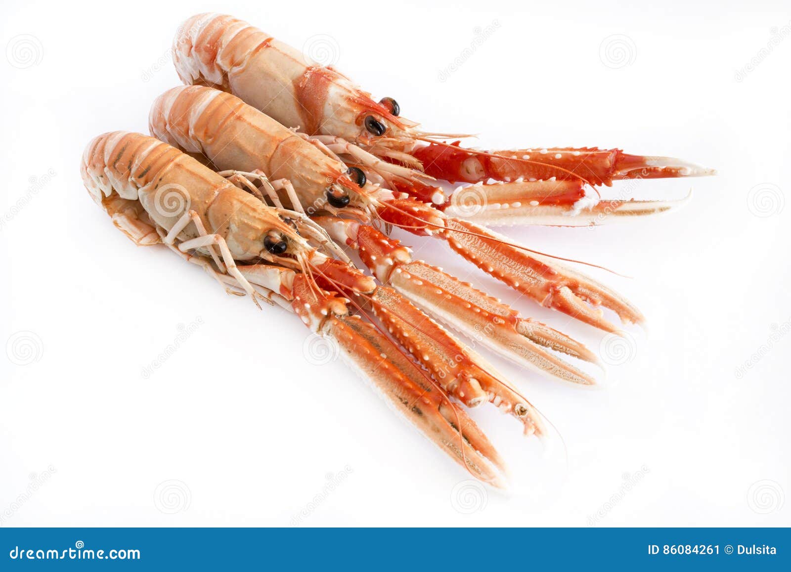 Dish of cooked crawfish stock image. Image of healthy - 86084261