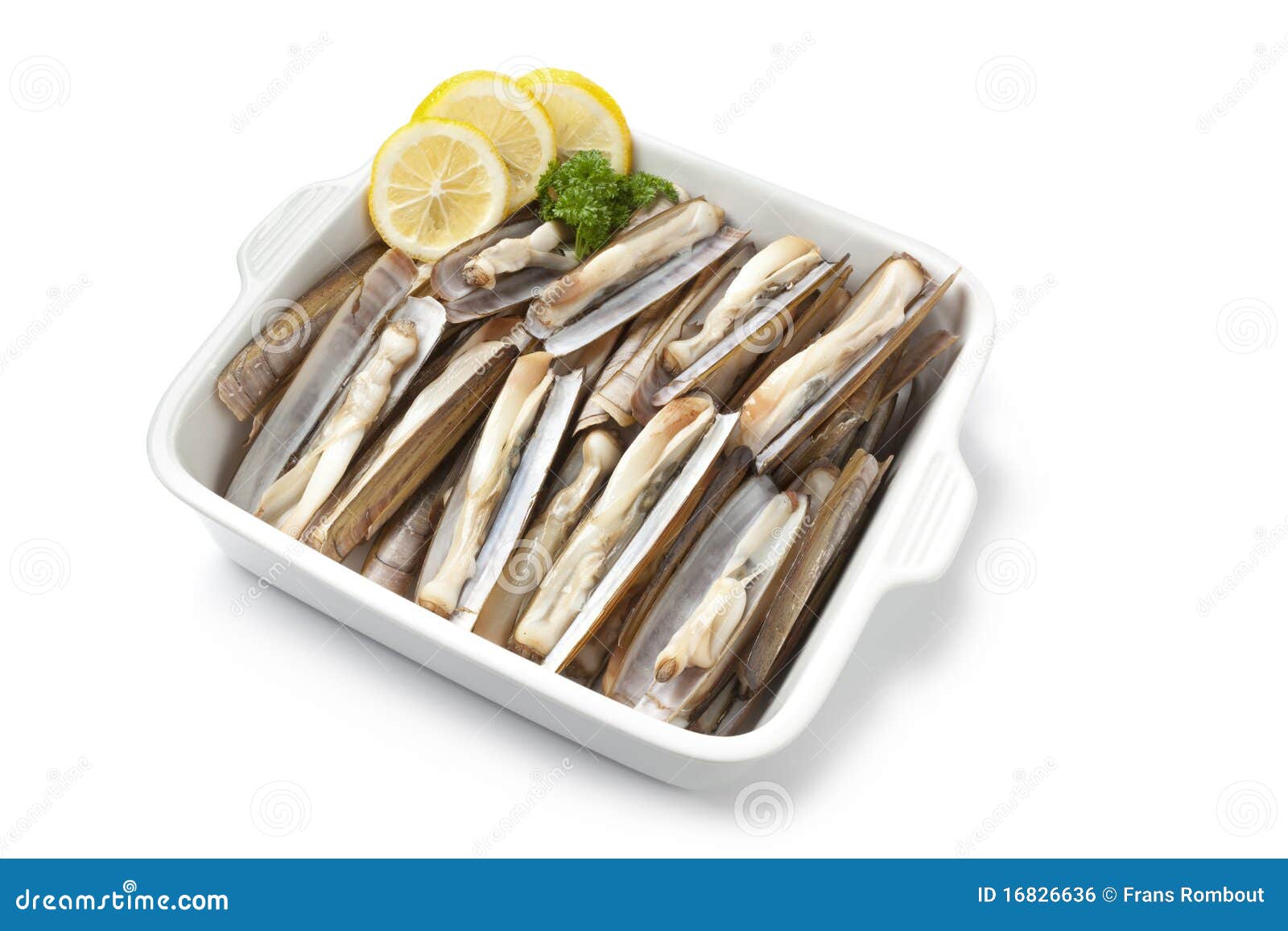 Dish with Fresh Cooked Razor Shells Stock Photo - Image of delicacy ...