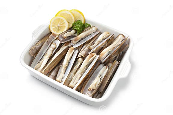 Dish with Fresh Cooked Razor Shells Stock Photo - Image of delicacy ...