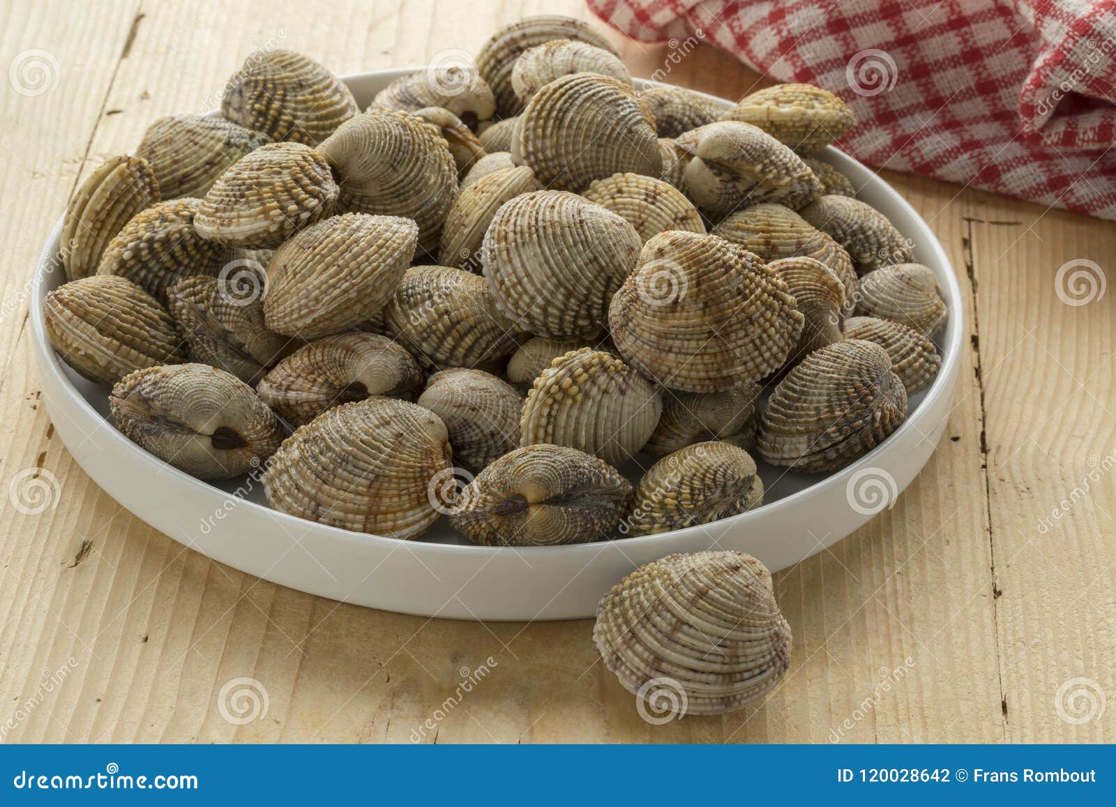 Dish with Fresh Raw Warty Venus Clams Stock Photo - Image of clams ...